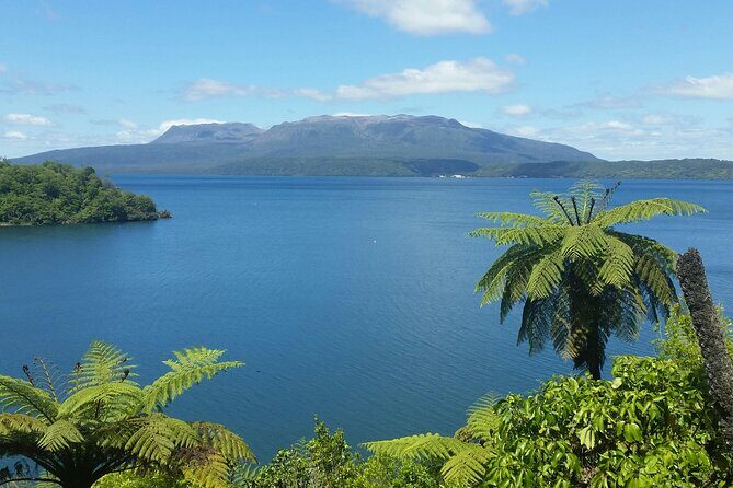 Tauranga Shore Excursion: Rotorua Highlights Tour - In-Depth Look at the Itinerary
