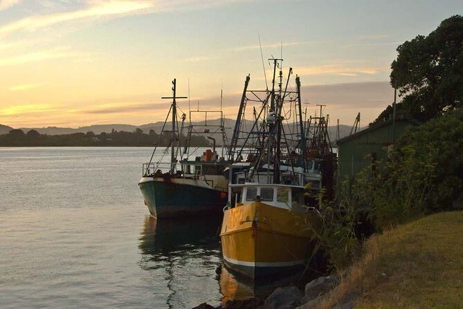 Tauranga Shore Excursion: Rotorua Highlights Tour - What Travelers Are Saying