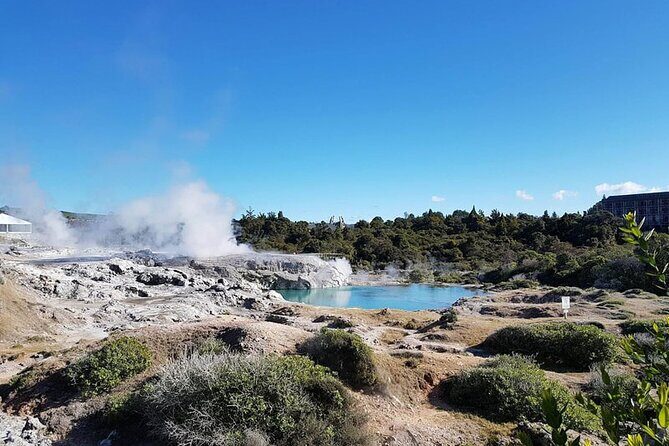 Tauranga Shore Excursion Rotorua Maori Village - A Well-Curated Look at the Rotorua Highlights