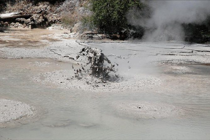 Tauranga Shore Excursion: Rotorua Tour including Gondola ride and fun Luge (opt) - A Practical Overview of the Rotorua Shore Experience