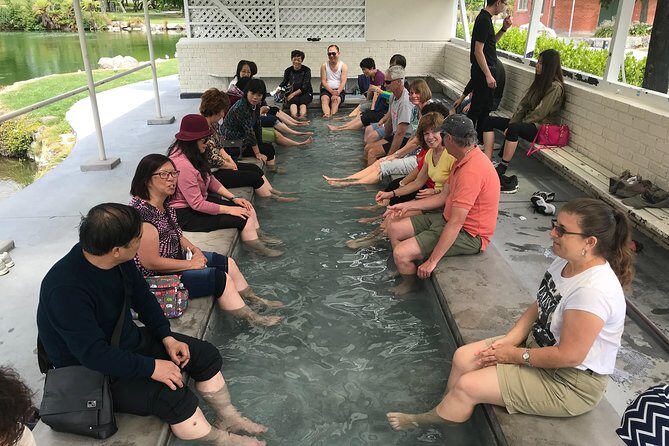 Tauranga Shore Excursion: Rotorua Tour including Gondola ride and fun Luge (opt) - Who Is This Tour For?