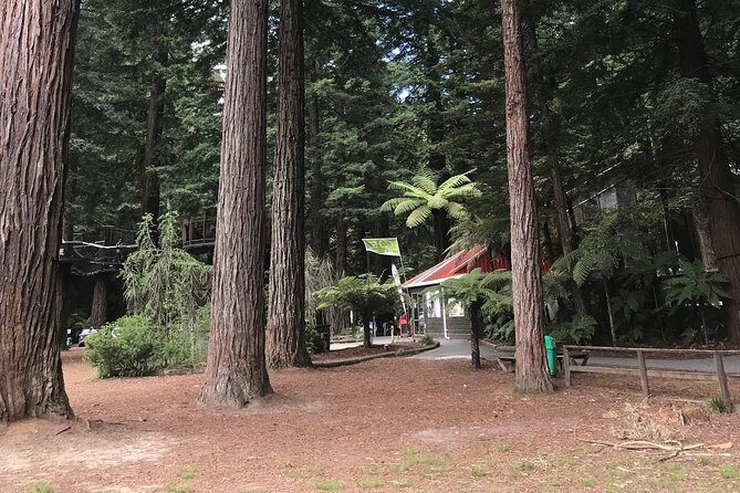 Tauranga Shore Excursion: Rotorua Tour including Gondola ride and fun Luge (opt) - FAQ