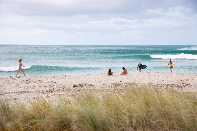 Tauranga Shore Excursion: Small-Group Bay of Plenty and Tauranga Tour - Introduction: What This Tour Offers