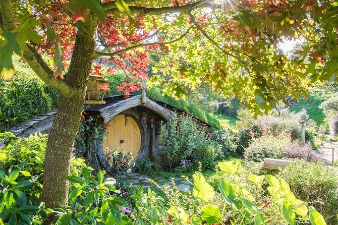 Tauranga to Magical Hobbiton Movie Set - Private Shore Excursion - Introduction