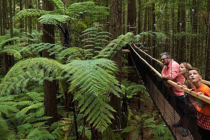 Tauranga to Rotorua Geysers & Canopy Tree Walk. Private Tour. - Why Choose This Tour?