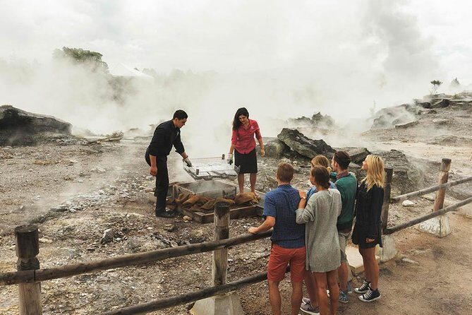 Tauranga to Rotorua. "Te Puia" Geysers. Private Shore Excursion - Who Will Love This Tour?