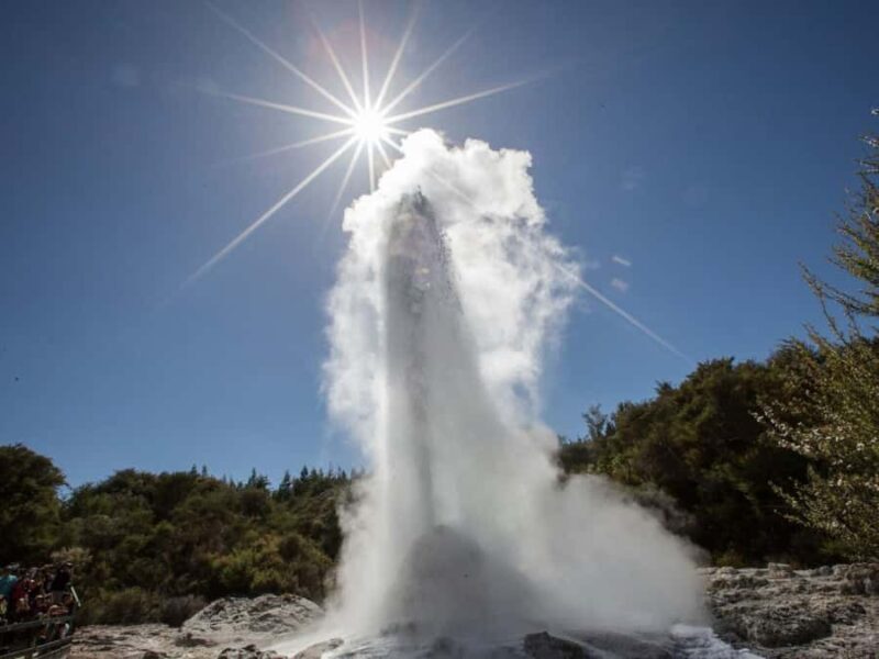 Tauranga: Wai-o-Tapu with Redwood Forest Walk or Forest Spa - An In-Depth Look at the Experience