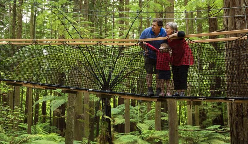 Tauranga: Wai-o-Tapu with Redwood Forest Walk or Forest Spa - Final Thoughts