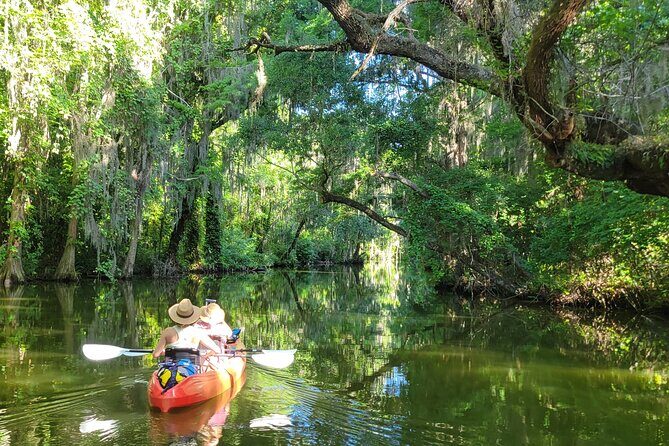 Tavares Half-Day Kayak Rental for Two on the Dora Canal - Key Points