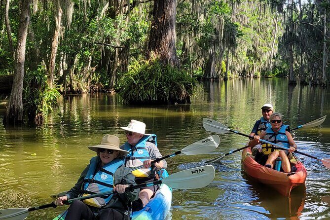 Tavares Half-Day Kayak Rental for Two on the Dora Canal - The Sum Up