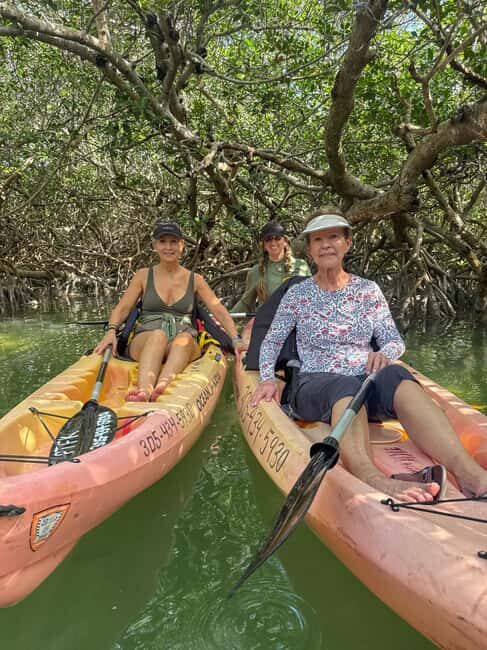 Tavernier, FL: Mangrove and Manatees Guided Kayak Eco Tour - Is This Tour Worth the Price?