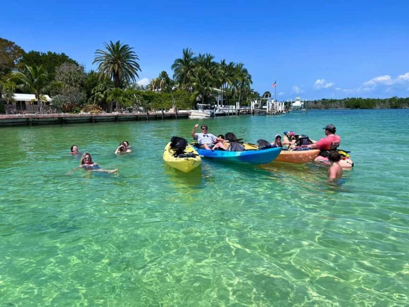 Tavernier, FL: Mangrove and Manatees Guided Kayak Eco Tour - The Sum Up: Is This the Right Tour for You?