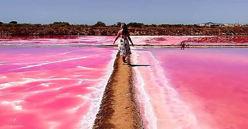 Tavira: 4x4 Jeep Adventure, Salt Pink Pans & Hidden Nature - Key Points