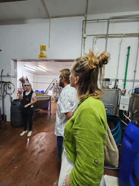 Tavira City & Olive Factory Tuktuk tour - Practical Details and Logistics
