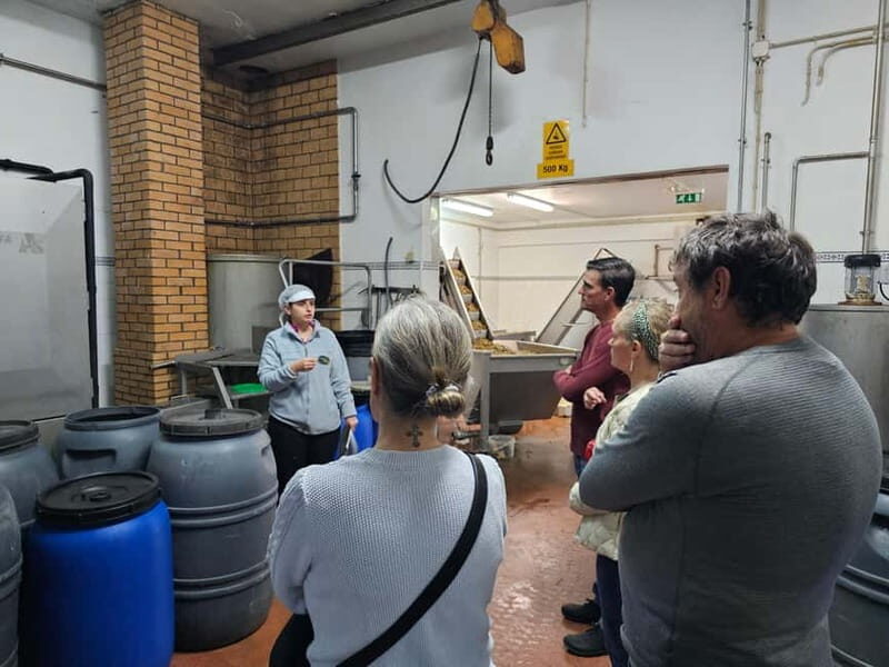 Tavira City & Olive Factory Tuktuk tour - The Authentic Charm of Tavira, in a Nutshell