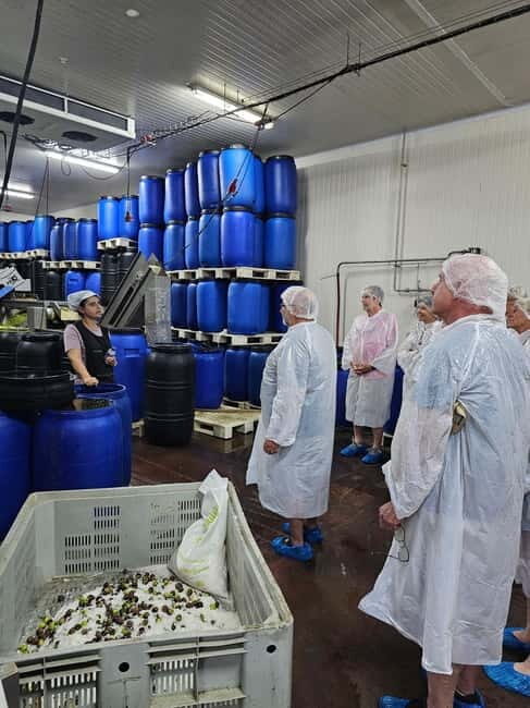 Tavira City & Olive Factory Tuktuk tour - FAQ