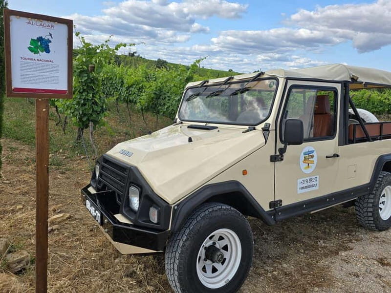 Tavira, Santa Luzia & Wine Tasting - Key Points