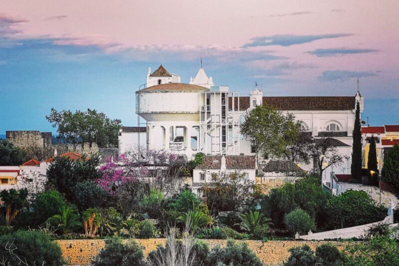 Tavira Total Tuk Tuk Tour: Tavira Tour & Tuna Museum Visit - Who Should Take This Tour?