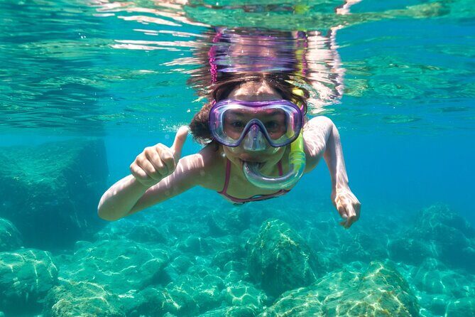 Tavolara and Molara Snorkeling with Guide - Why Choose the Tavolara and Molara Snorkeling Tour?