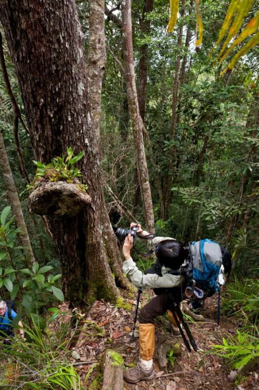 Tawau: 3D2N Maliau Basin The Base - Lost World Expedition - Introducing the Maliau Basin "Lost World" Expedition