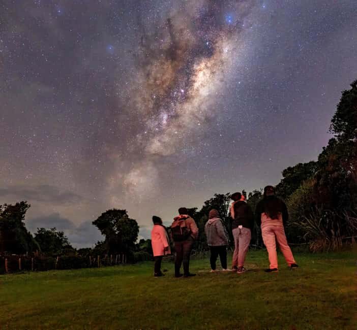 Tawharanui: Kiwi Spotting & Stargazing Tour w/ Optional Stay - Introduction