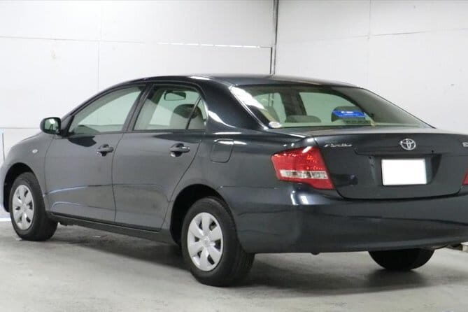 Taxi from Anuradhapura to Sigiriya / Dambulla (Private) - Why Travelers Love It