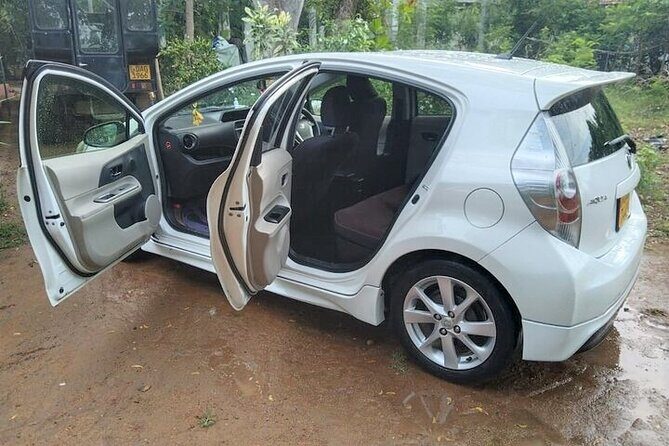 Taxi from Hirikatiya to Tissamaharama - The Experience in Detail: What to Expect