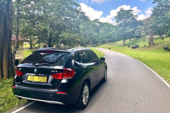 Taxi from Sigiriya or Dambulla to Kandy - Who Will Appreciate This Service Most?