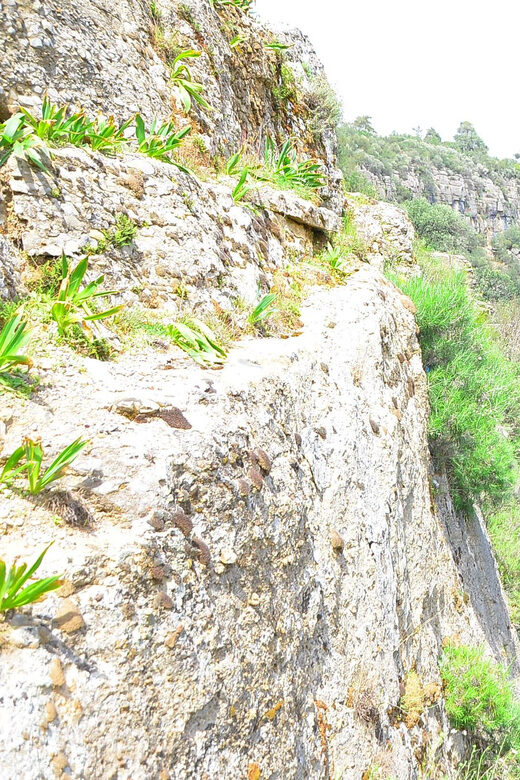 Taz Canyon, Avatar Lands and Selge Ancient City Tour - An In-Depth Look at the Tour Experience