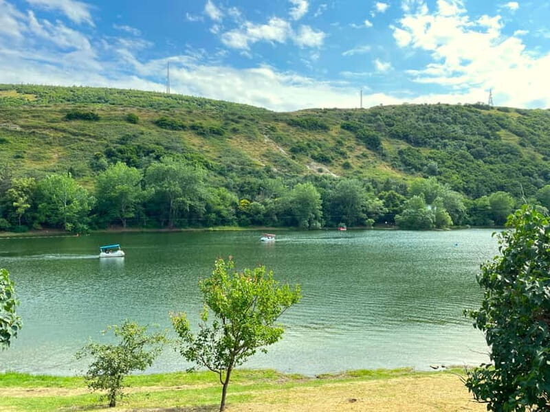 Tbilisi 2 Parks: Turtle Lake & Dedaena Park with Flea Market - Key Points