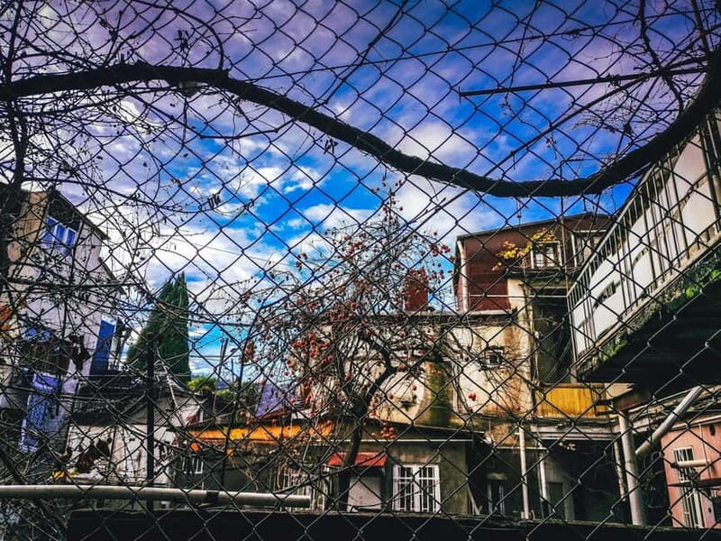 Tbilisi: Alternative (All Inclusive) City Tour, Lunch & Wine - Final Thoughts