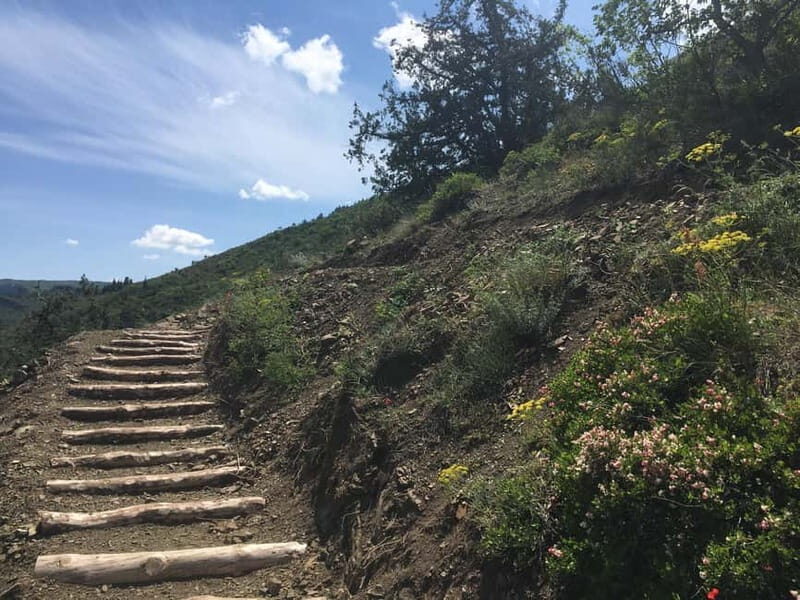 Tbilisi: Delightful Trail over the City - FAQs