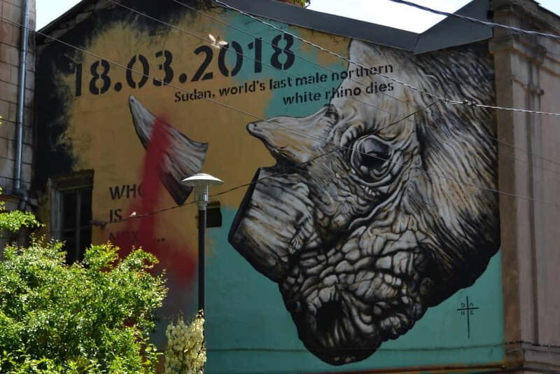 Tbilisi: Graffiti & Street Art Walking Tour - Who Will Appreciate This Tour?