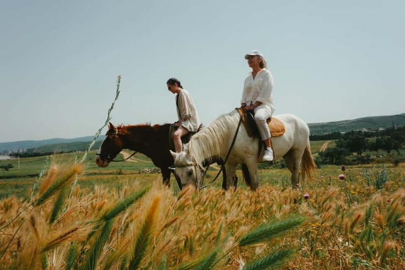 Tbilisi: Horseback Riding Experience - Key Points