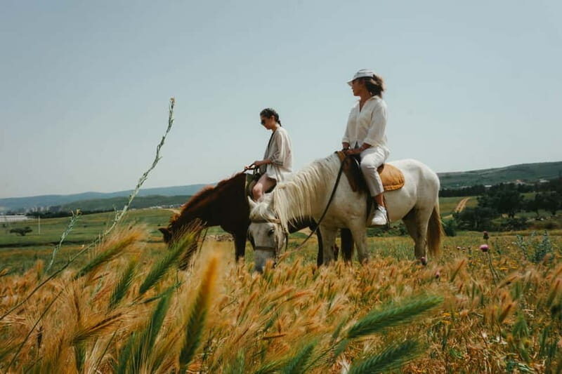 Tbilisi: Horseback Riding Experience - A Genuine Look at the Horseback Riding Experience Near Tbilisi