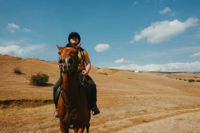 Tbilisi: Horseback Riding Experience - Final Thoughts