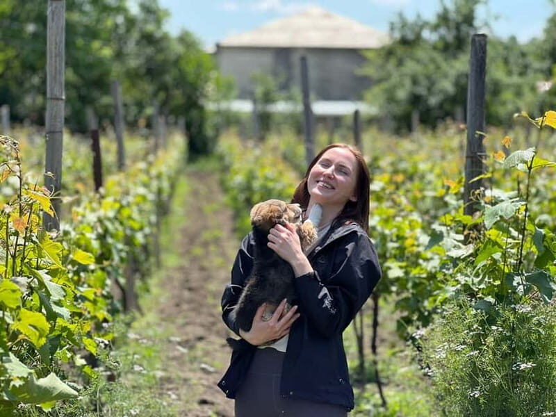 Tbilisi: Kakheti Private Wine Tour with Family Lunch - Key Points: