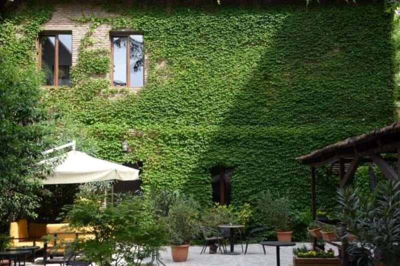 Tbilisi: Kazbegi Tour with 4-Star Hotel Stay & Meals - The Itinerary in Detail