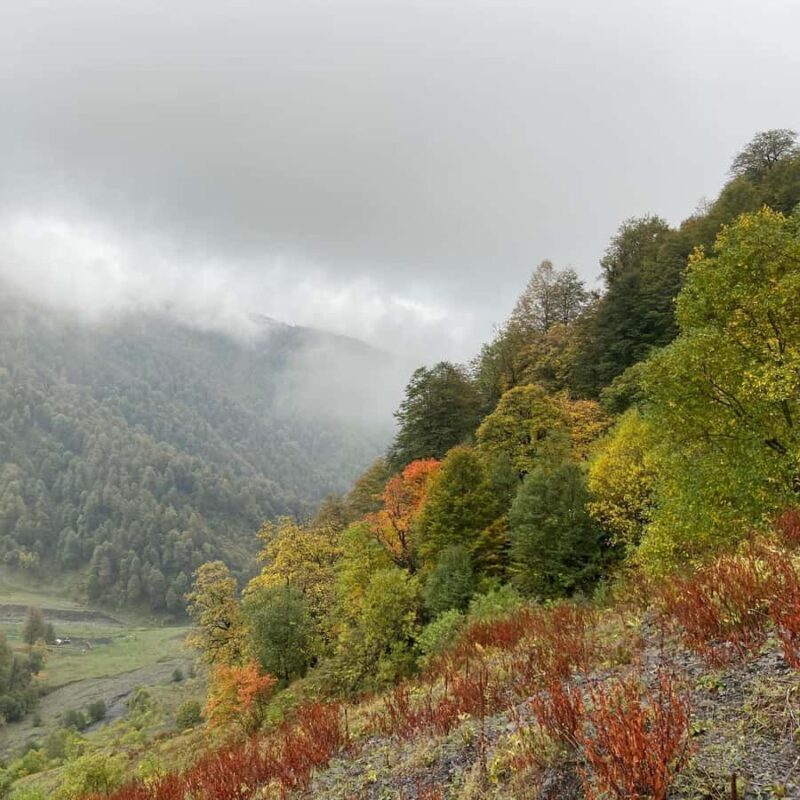 Tbilisi: Pankisi Gorge Horse Riding Tour with Dinner - Exploring Makhvali Waterfall and Beyond