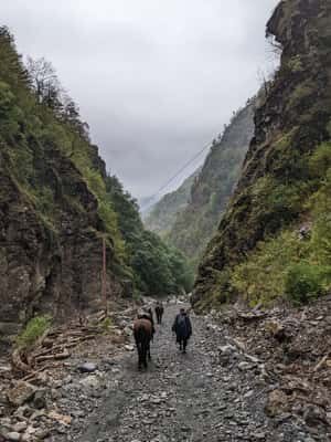 Tbilisi: Pankisi Gorge Horse Riding Tour with Dinner - Who Should Consider This Tour?