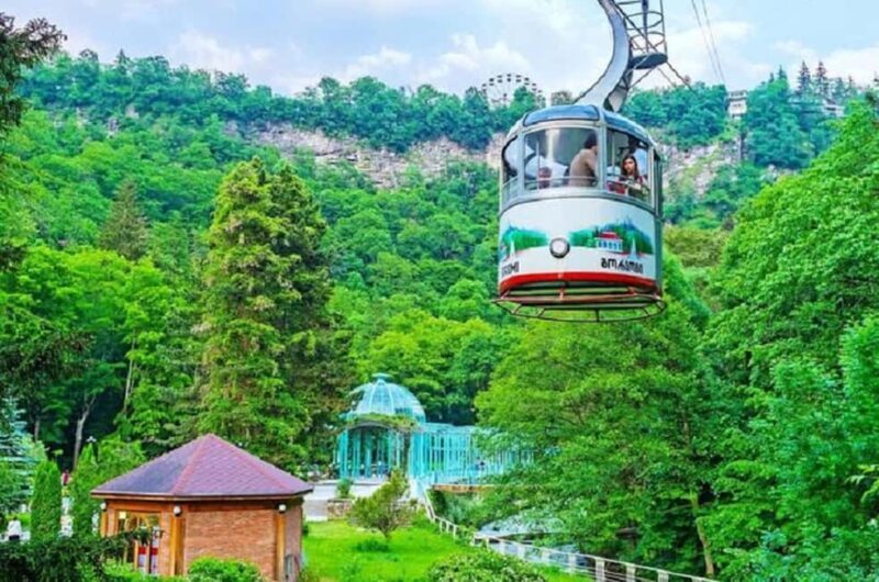 Tbilisi: Vardzia Caves, Rabati Castle and Borjomi Day Trip - Who Will Enjoy This Tour?