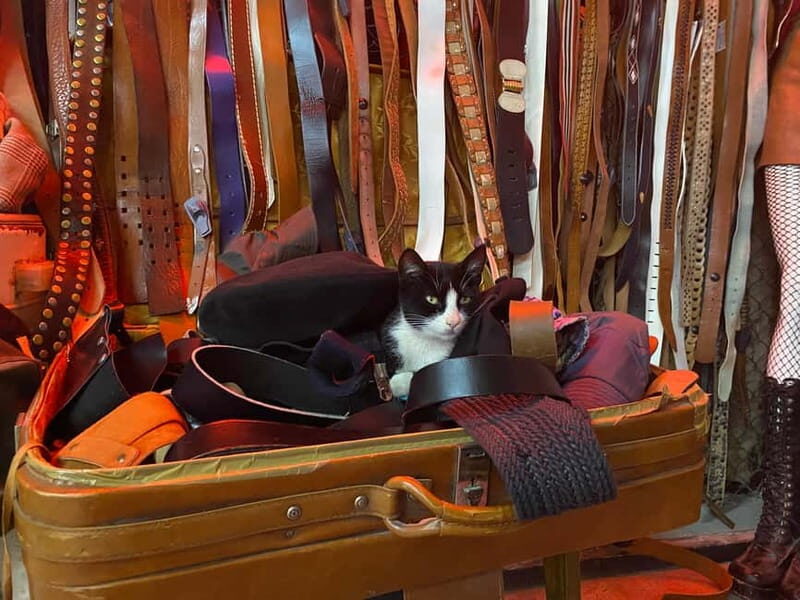 Tbilisi: Vintage Fashion and Secondhand Thrifting Tour - Practical Details and Value