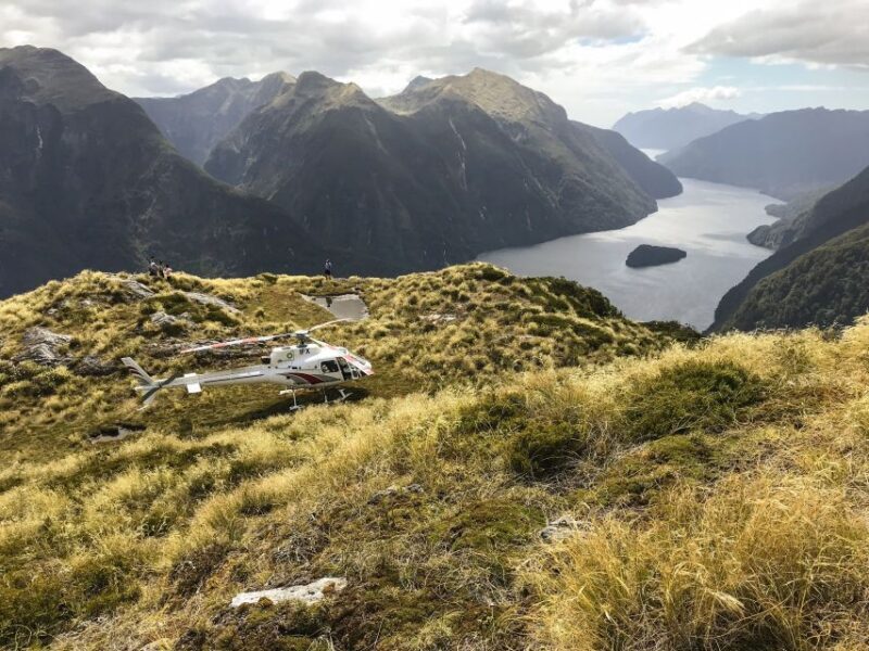 Te Anau: 30-Minute Fiordland National Park Scenic Flight - The Experience Overview