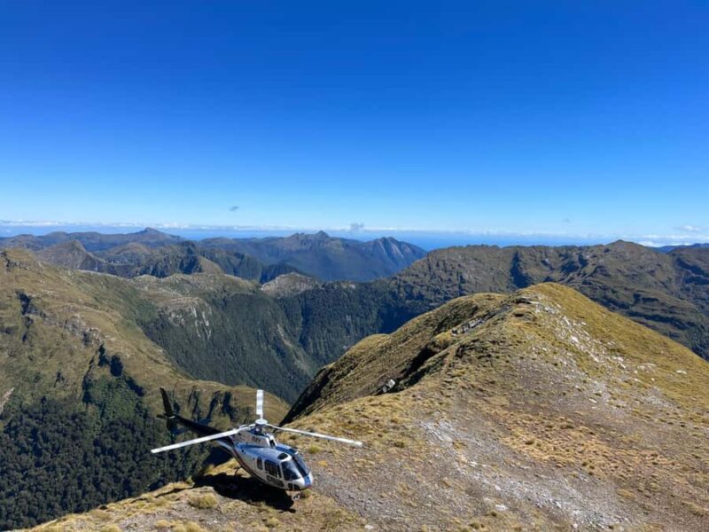Te Anau: Fiordland Helicopter Flight with Alpine Landing