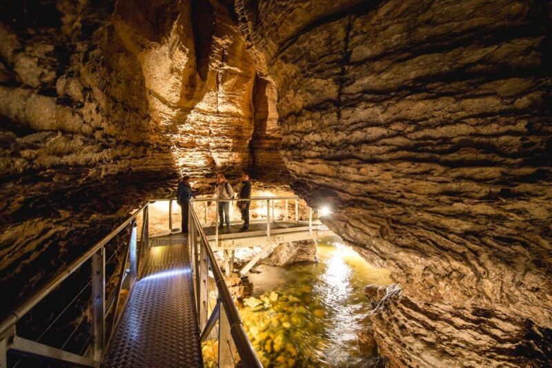 Te Anau: Glowworm Caves Guided Tour - Starting Point and How It All Begins