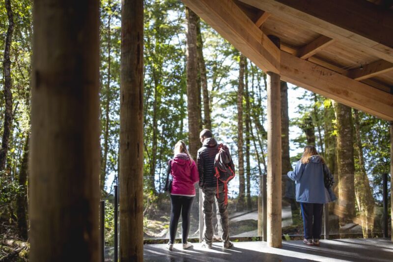Te Anau: Glowworm Caves Guided Tour - Guided Commentary and Stories