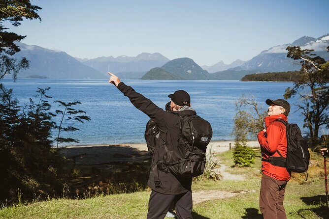 Te Anau Jetboat Experience, Kepler Guided Hike, Transport & Lunch - The Sum Up