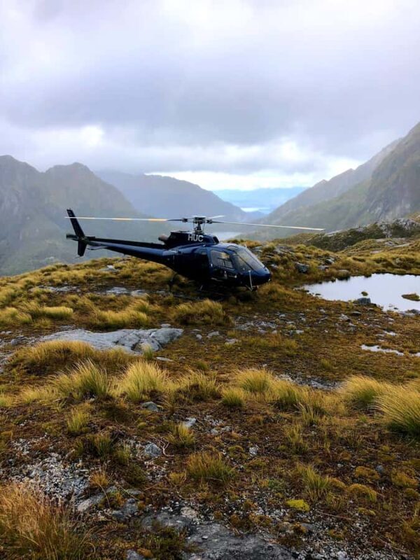 Te Anau: Kepler Heli Hike (unguided) - Key Points