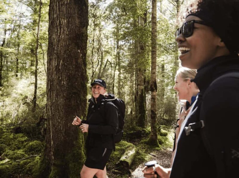 Te Anau: Kepler Track Helicopter Hike with Boat Ride - A Thrilling Introduction to Fiordland’s Wilderness