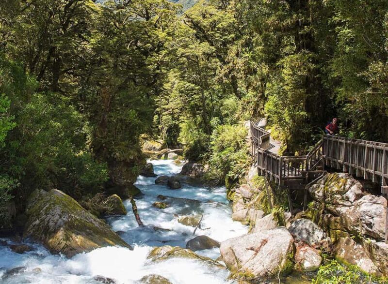 Te Anau: Lake Marian Guided Day Hike with Lunch - A Full Breakdown of the Experience